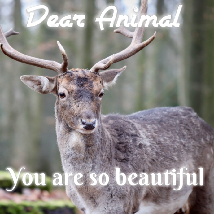 This Design Template is not available | PosterMyWall