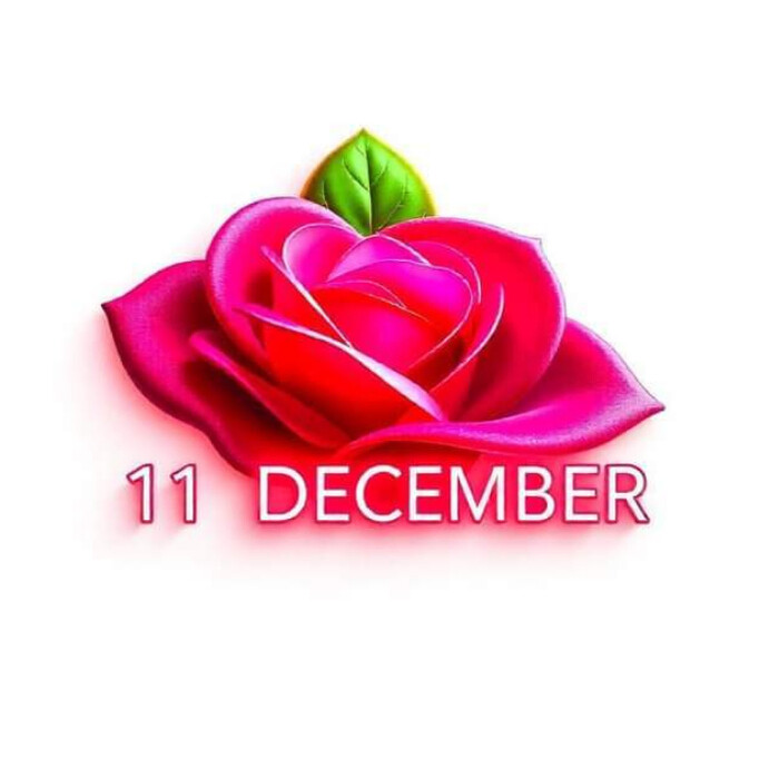 december 11th template | PosterMyWall