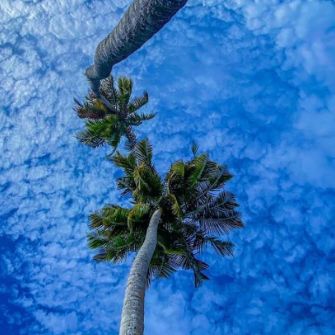 Design Template | PosterMyWall