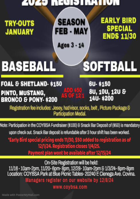 Baseball Game Flyer Template | PosterMyWall