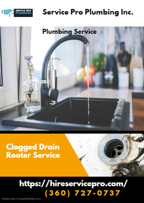 Plumbing Service Flyer Ad | PosterMyWall