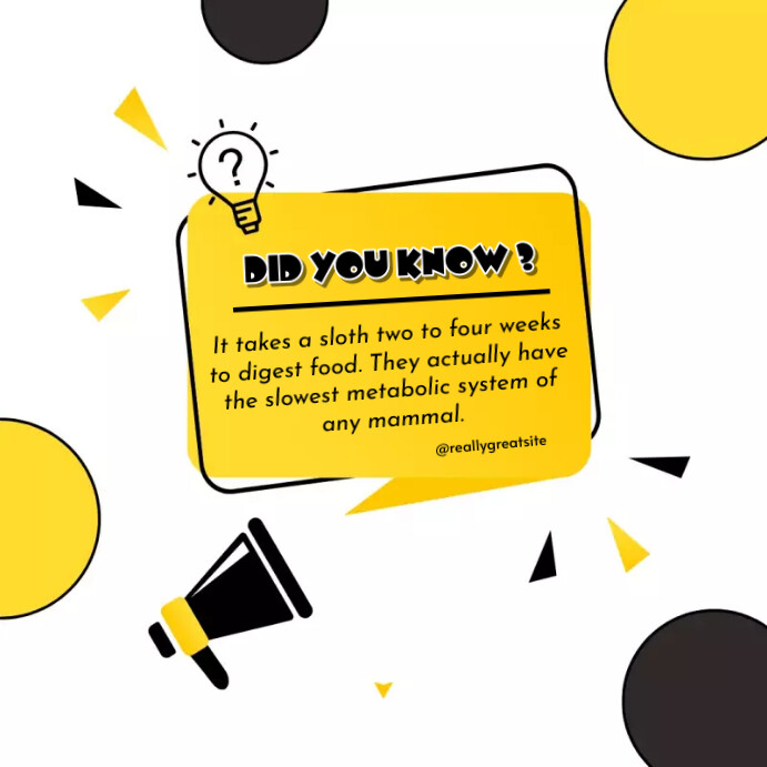 Did You Know? Template | PosterMyWall