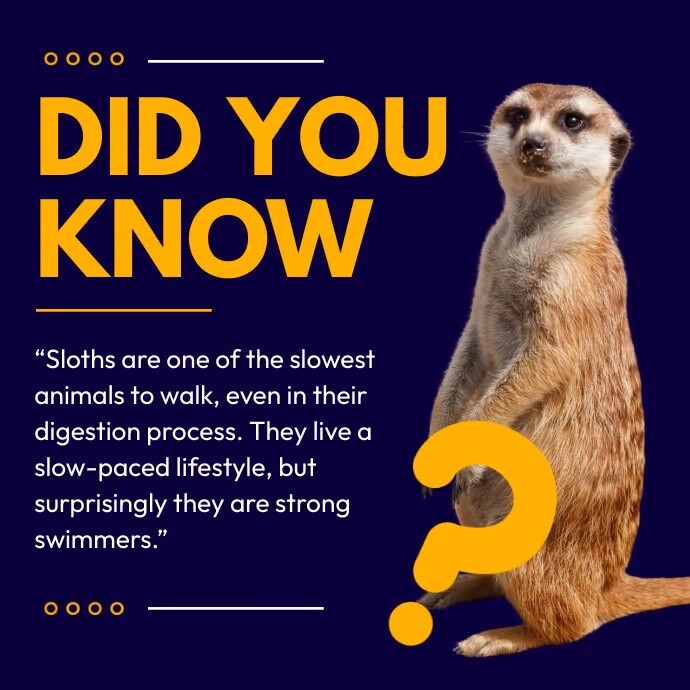 Did You Know Ads Template | PosterMyWall