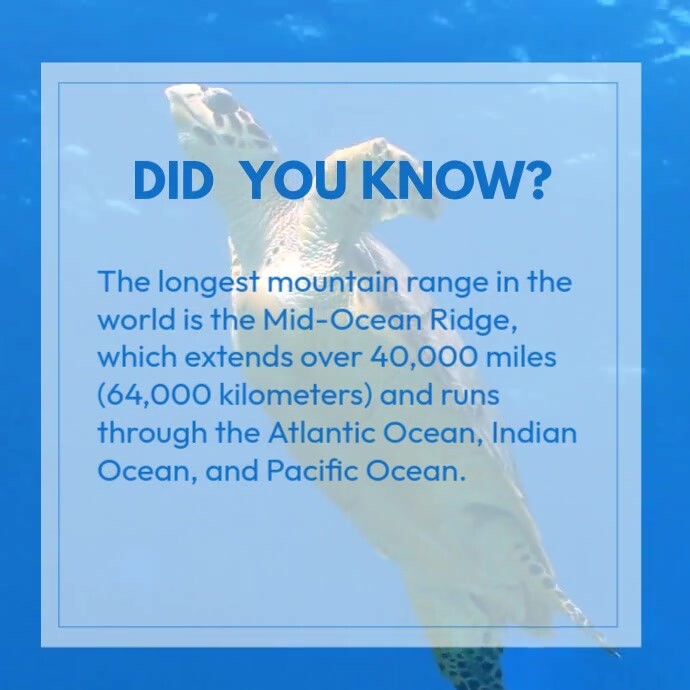 Did You Know Ocean Template | PosterMyWall