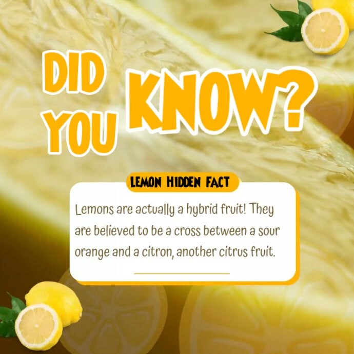 Did You Know Video Template | PosterMyWall
