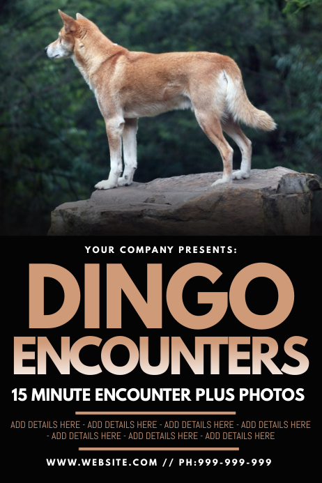 Copy of Dingo Encounters Poster | PosterMyWall