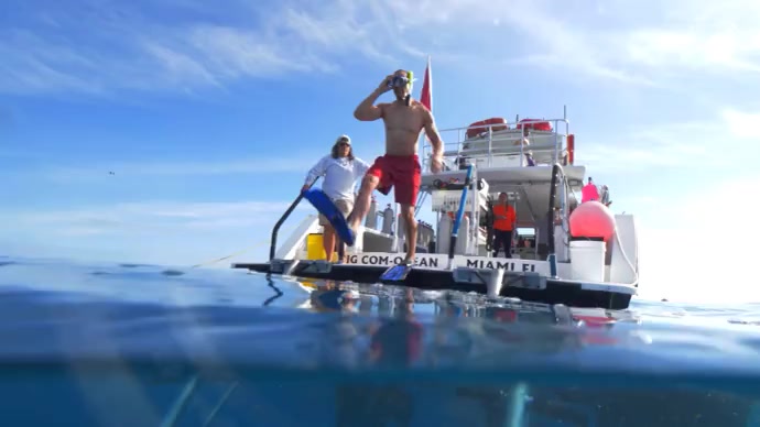 Copy of DIVE SHORT VIDEO | PosterMyWall