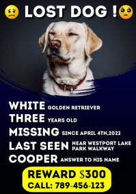 Missing person poster Template | PosterMyWall