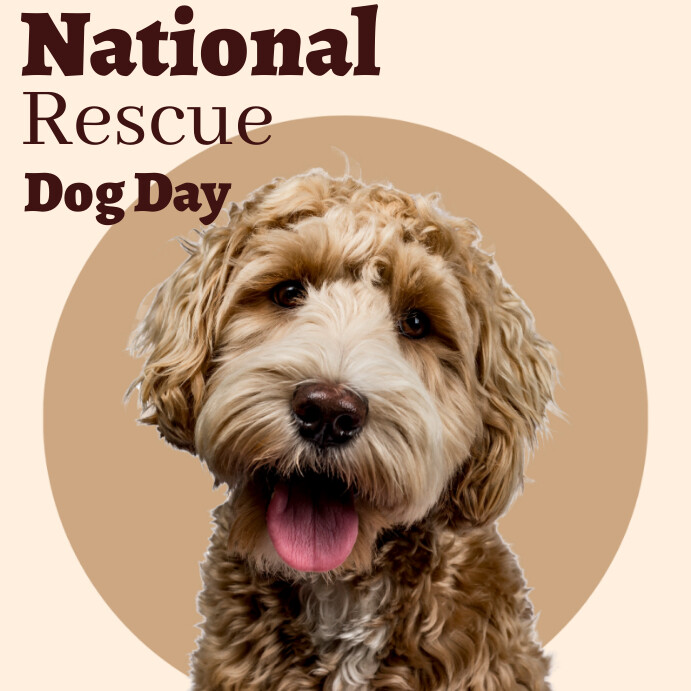 Dog day Template | PosterMyWall