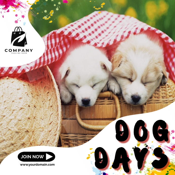 Copy of DOG DAY | PosterMyWall
