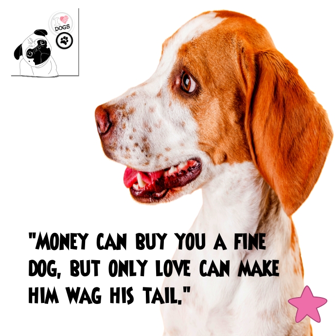 Dog Lover Template | PosterMyWall