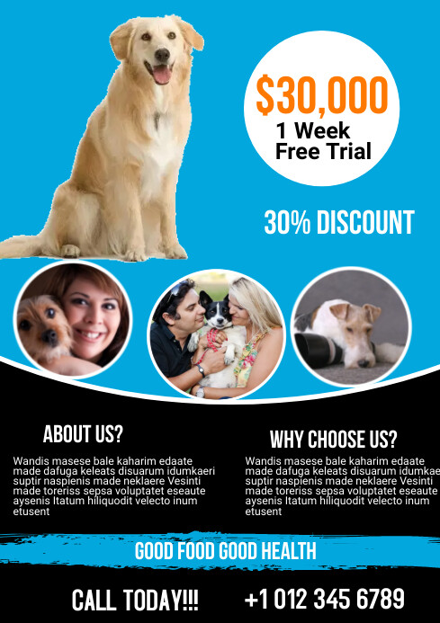 Copy of dog pet flyer | PosterMyWall