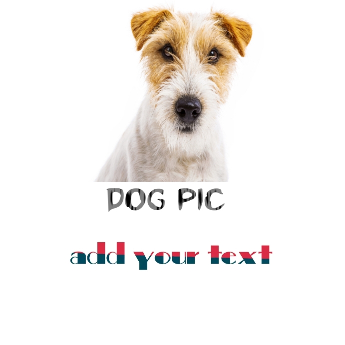 DOG PIC Template | PosterMyWall