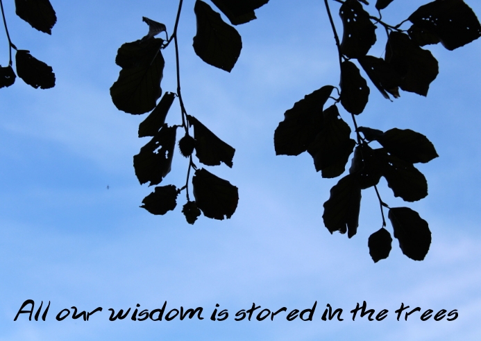 DS Photography 1 Template | PosterMyWall