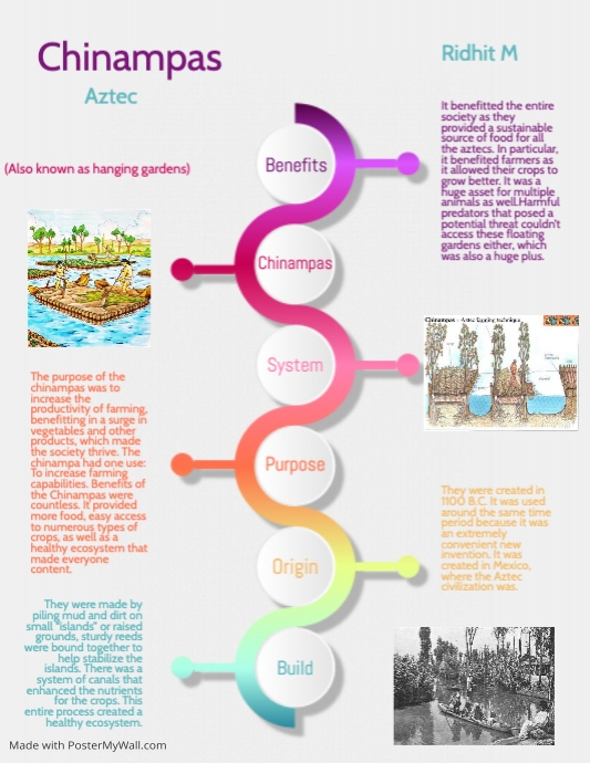 Copy of Aztec Infographic | PosterMyWall