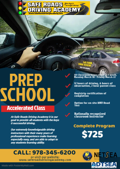 Copy of Driving School Flyer Template | PosterMyWall