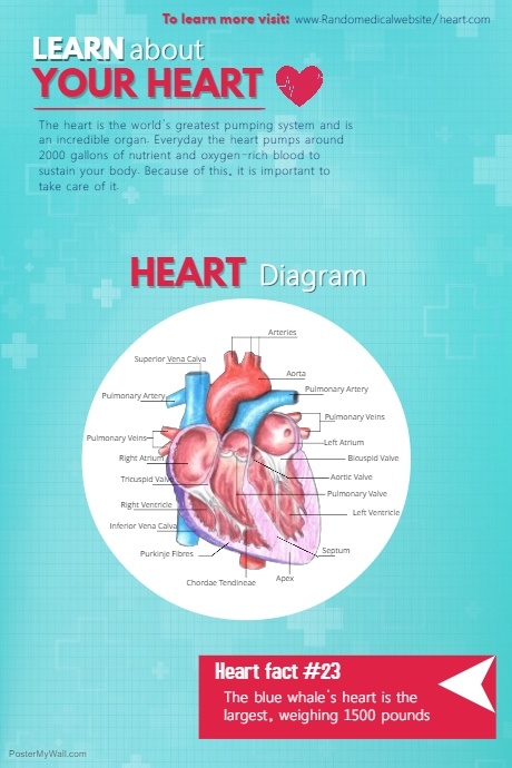 Heart | PosterMyWall