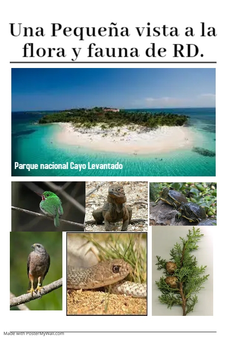 Copy of Copia de Conventional Newspaper Layout | PosterMyWall