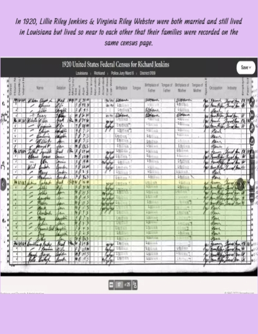 JENKINS RILEY SOUVENIR BOOK 1920 CENSUS LILLIE AND VIRGINIA FAMILIES ...