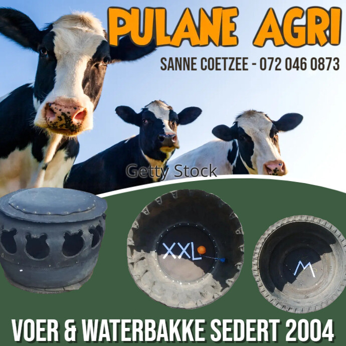 Vet (1) | PosterMyWall