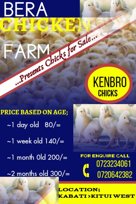 Copy of FRESH MEAT FLYER | PosterMyWall