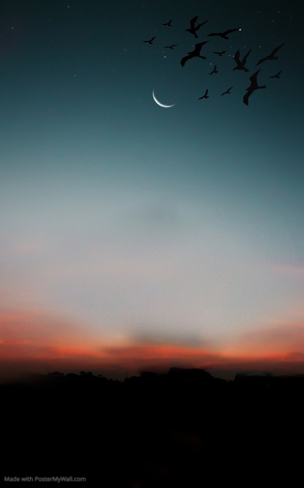 Copia de Contemporary Fiction Night Time Book Cover | PosterMyWall