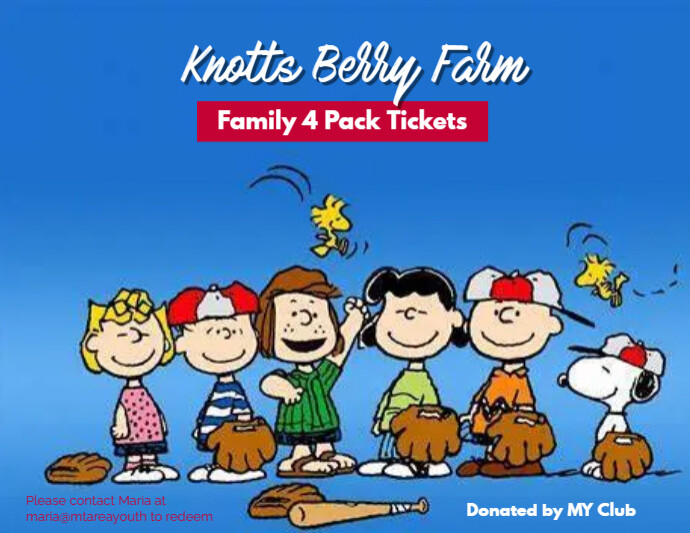 Disney Birthday party theme park flyer design | PosterMyWall