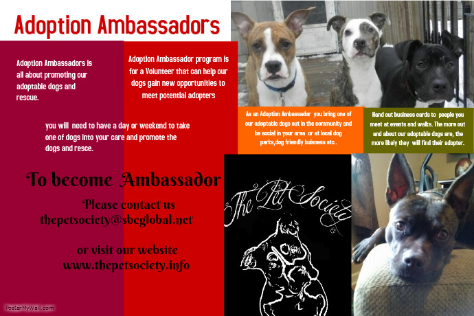 Adoption Ambassador | PosterMyWall