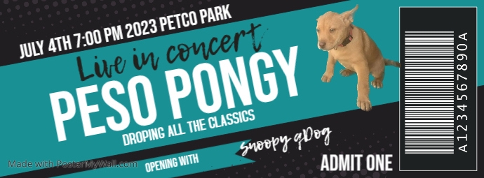 Copy of Concert ticket | PosterMyWall