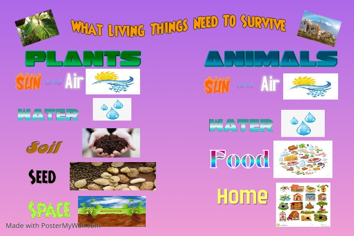 Copy of A New Design | PosterMyWall