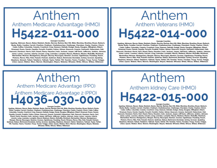 Anthem HMO GA (1) | PosterMyWall