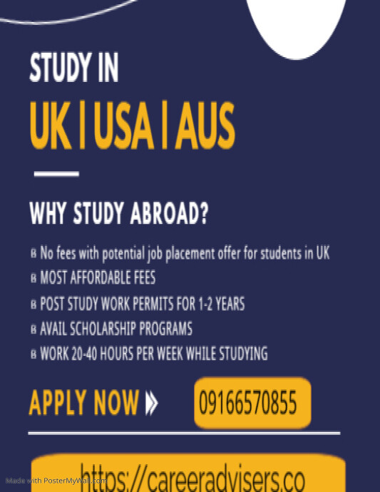 Navy Blue Student Visa Flyer | PosterMyWall
