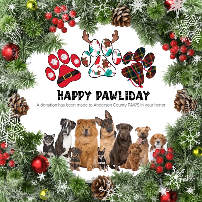 Christmas wishes for pet lovers | PosterMyWall