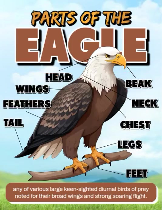 Eagle Body Parts Template | PosterMyWall
