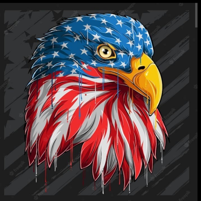 Eagle poster design template | PosterMyWall