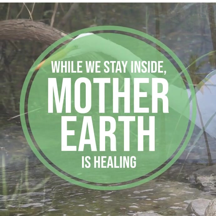 Copy of Earth is healing coronavirus template | PosterMyWall