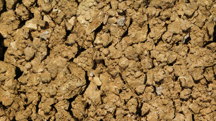 Earth texture Template | PosterMyWall