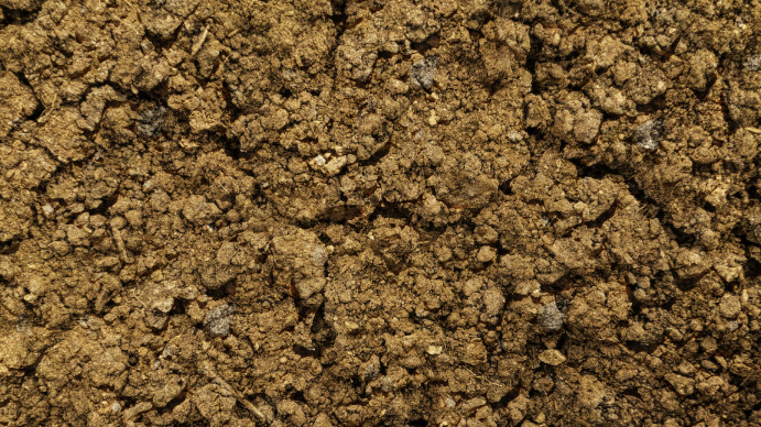 Earth texture Template | PosterMyWall