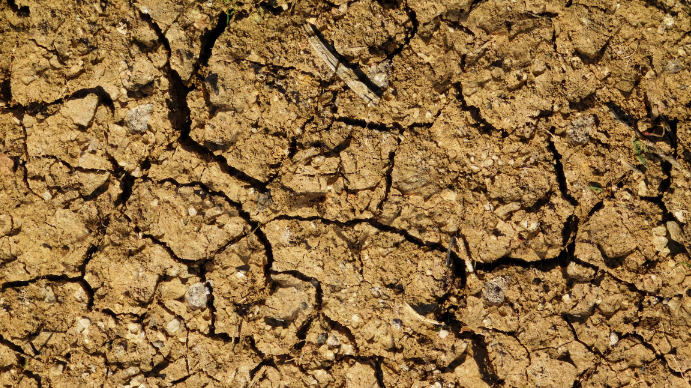 Earth texture Template | PosterMyWall