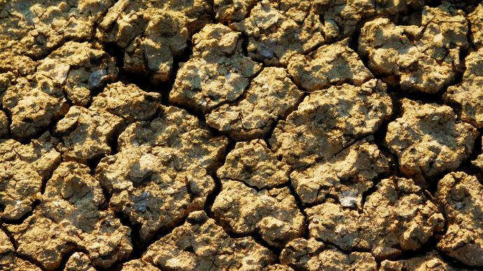 Earth texture Template | PosterMyWall