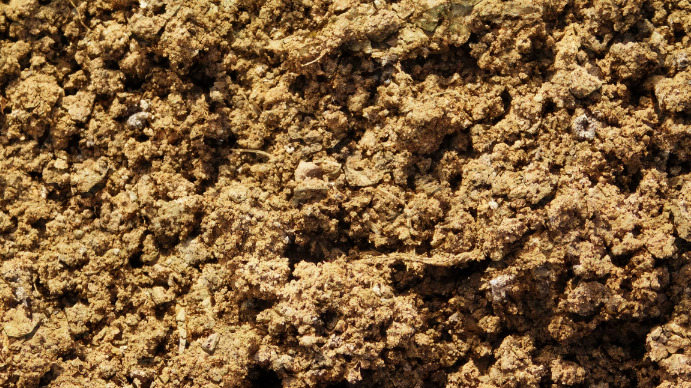 Plantilla de Textura de La Tierra | PosterMyWall