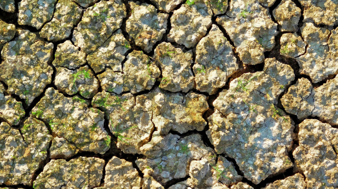 Copy of Earth texture | PosterMyWall