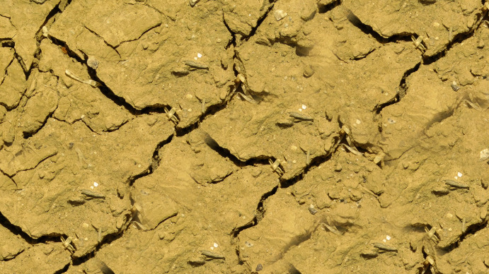 Copy of Earth texture | PosterMyWall