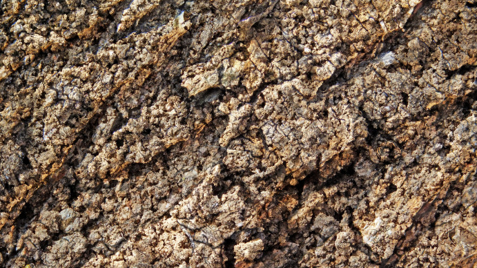 Earth texture Template | PosterMyWall