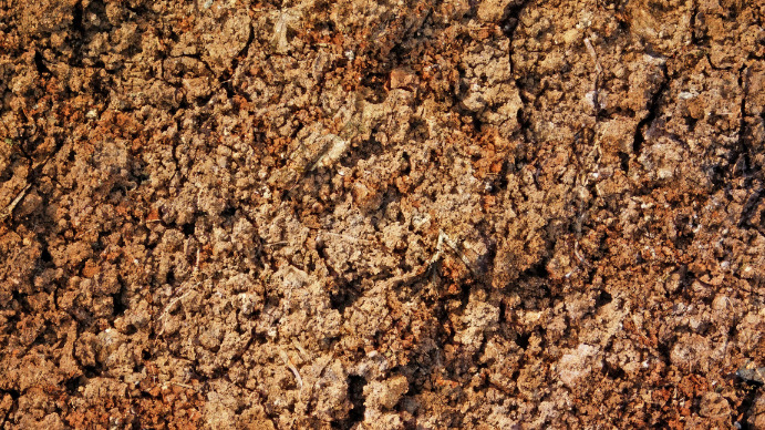 Copy of Earth texture | PosterMyWall