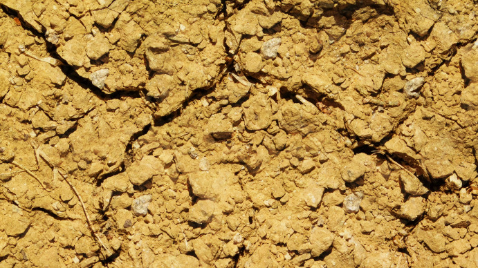 Earth texture Template | PosterMyWall