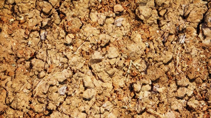 Earth texture Template | PosterMyWall