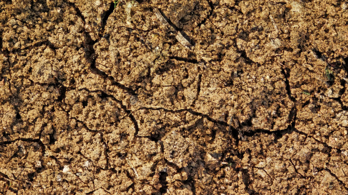 Copy of Earth texture | PosterMyWall