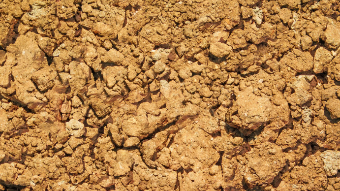 Copy of Earth texture | PosterMyWall