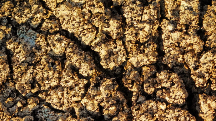 Earth texture Template | PosterMyWall